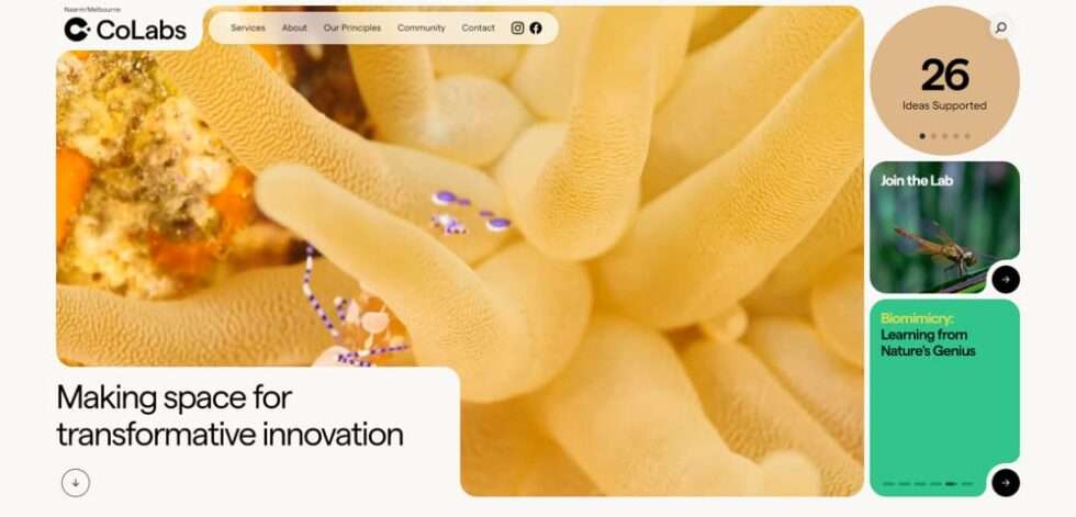 12 Top Website Designs - To Inspire You In 2023